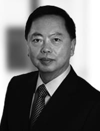 Large Cap Growth